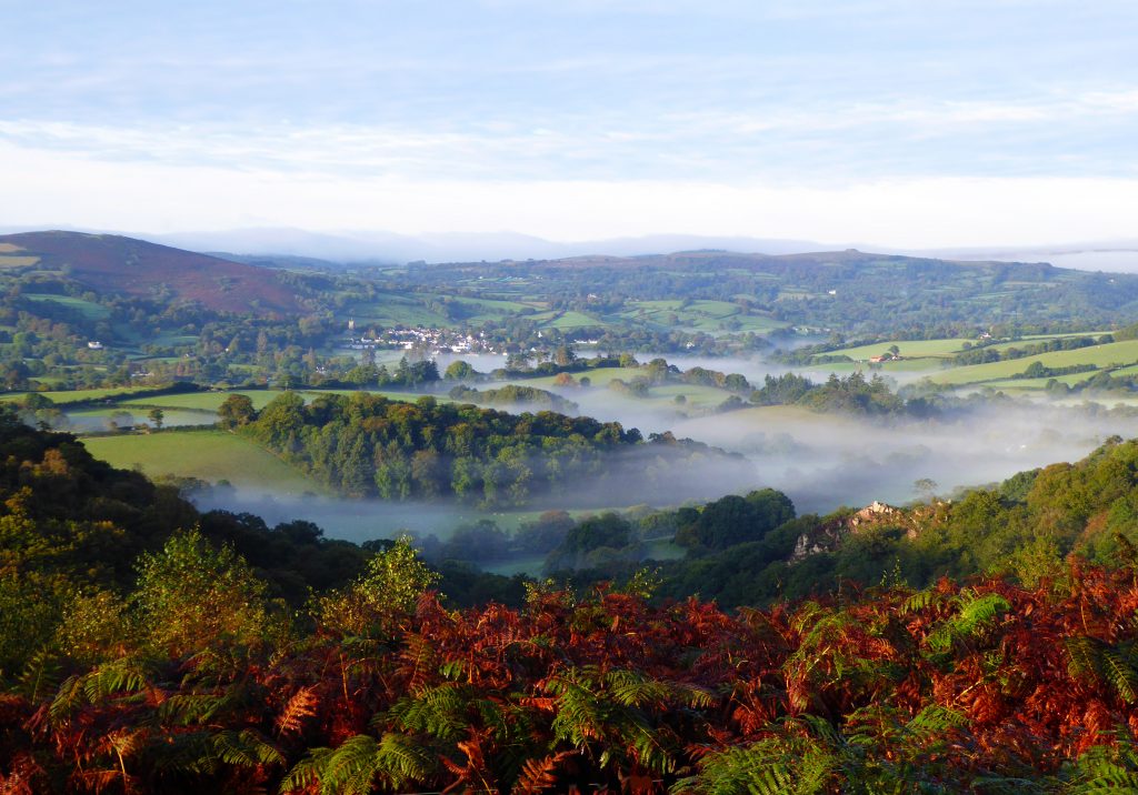 Gallery - Visit Chagford