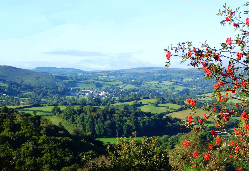 Gallery - Visit Chagford